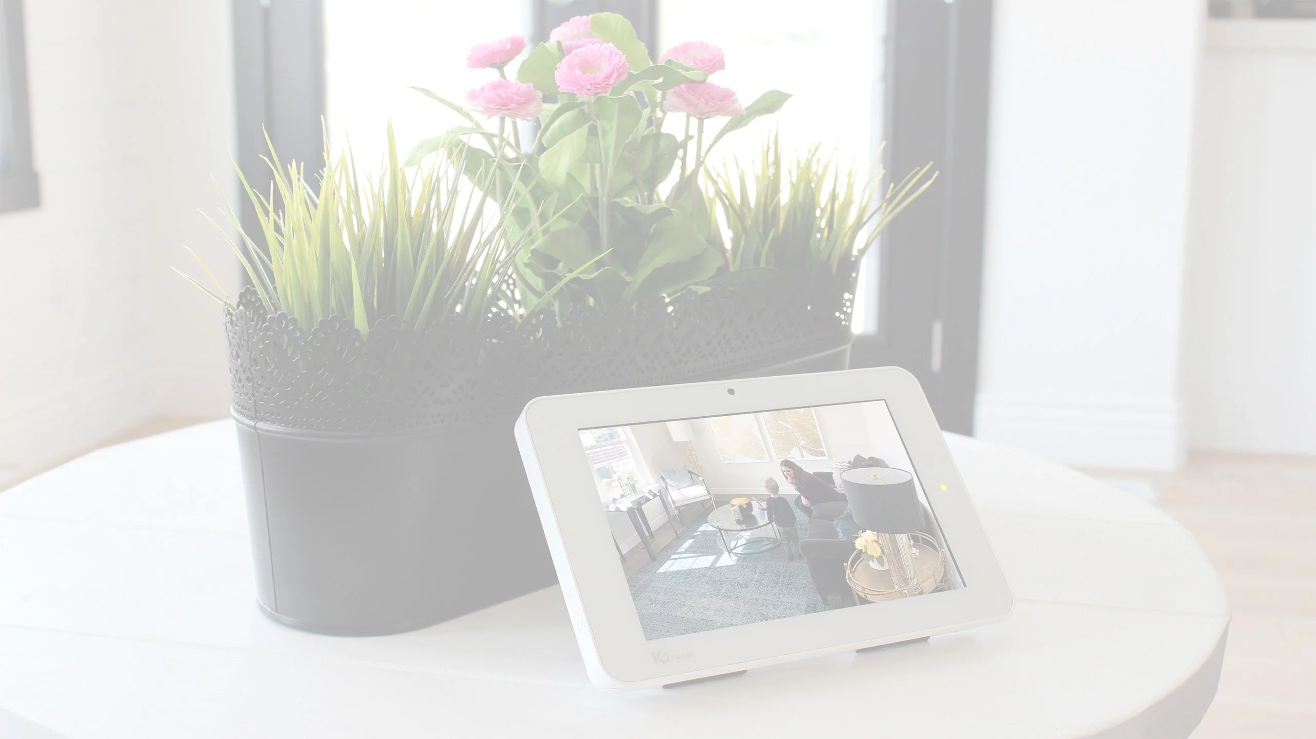 Security Packages for Smart Home & Small Business | True Protection